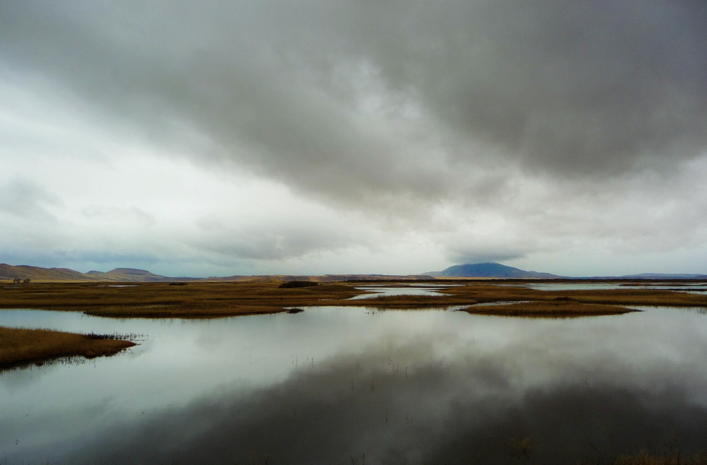 Flash flood warning issued - Backyardbend